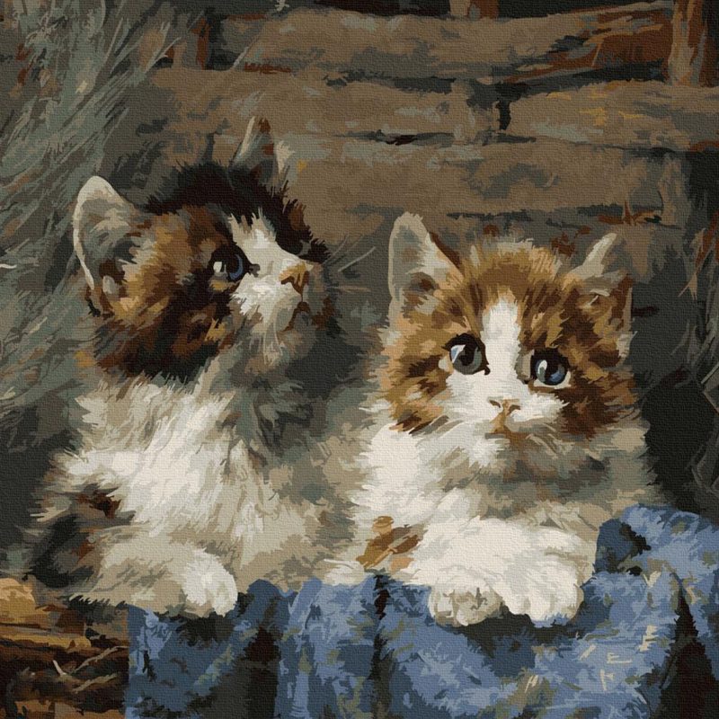 Personalized Paint By Numbers - Painting By Numbers